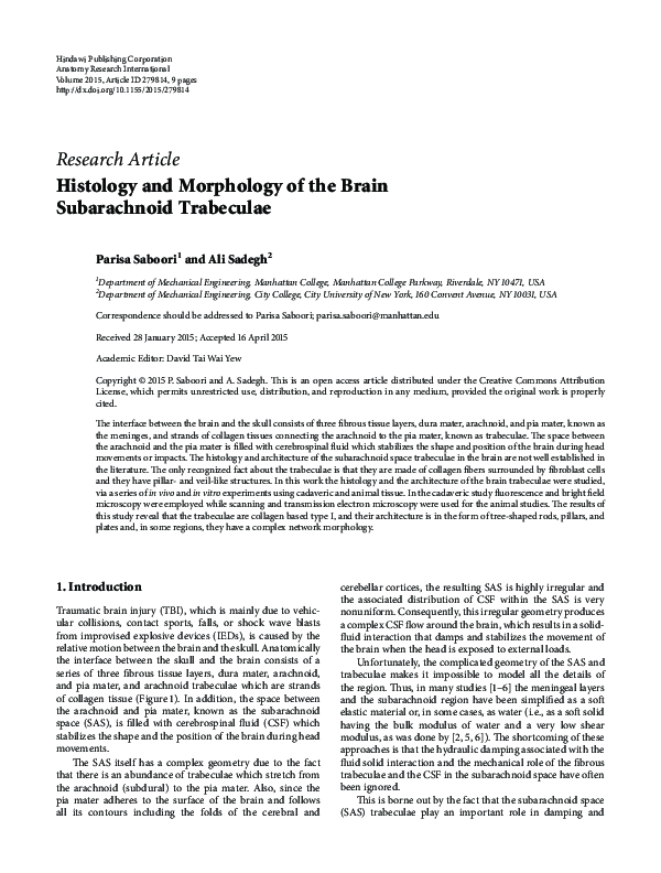 (PDF) Histology and Morphology of the Brain Subarachnoid Trabeculae