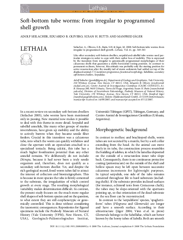 (PDF) Soft-bottom tube worms: from irregular to programmed shell growth