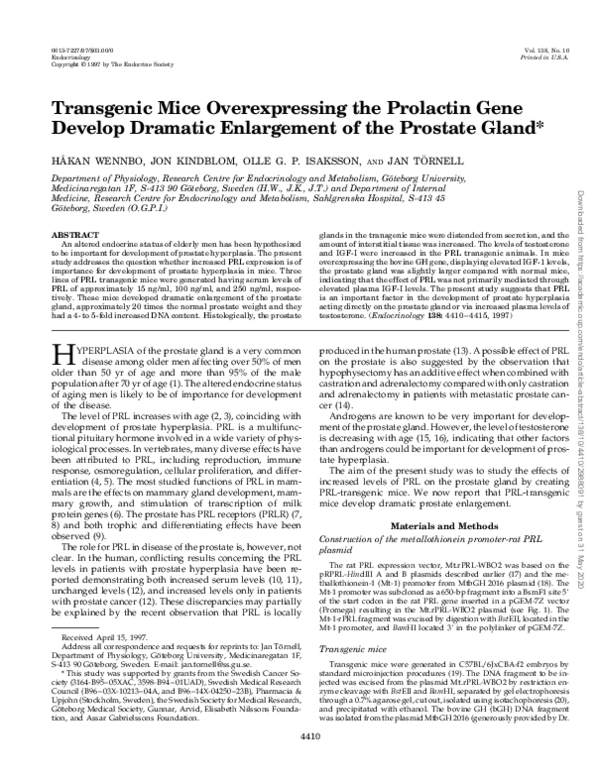 (PDF) Transgenic Mice Overexpressing the Prolactin Gene Develop ...