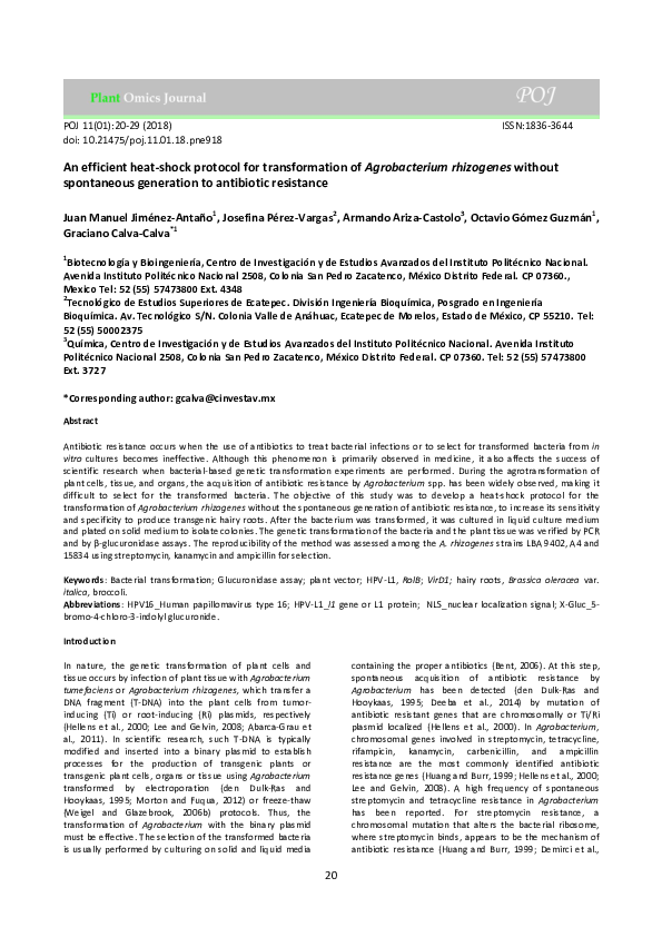 (PDF) An efficient heat-shock protocol for transformation of ...