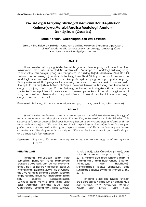 (PDF) Re-Deskripsi Teripang Stichopus hermanii Dari Kepulauan ...