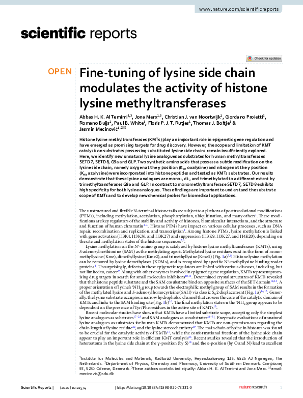 (PDF) Fine-tuning of lysine side chain modulates the activity of ...