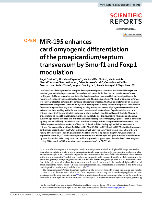 (PDF) MiR-195 enhances cardiomyogenic differentiation of the ...