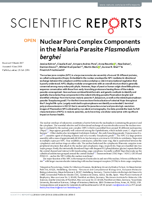 (PDF) Nuclear Pore Complex Components in the Malaria Parasite Plasmodium berghei
