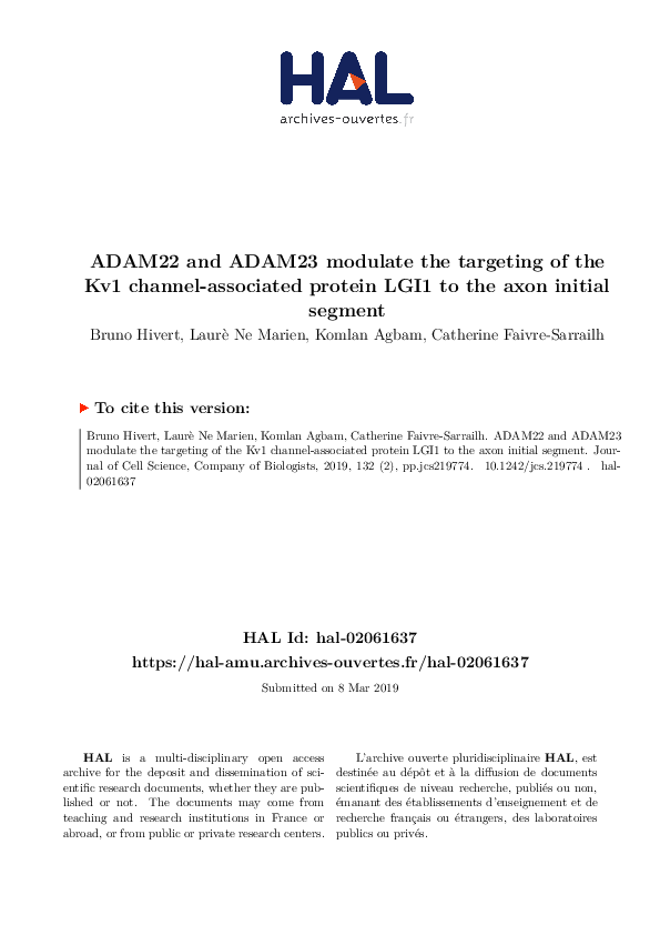 (PDF) ADAM22 and ADAM23 modulate the targeting of the Kv1 channel ...