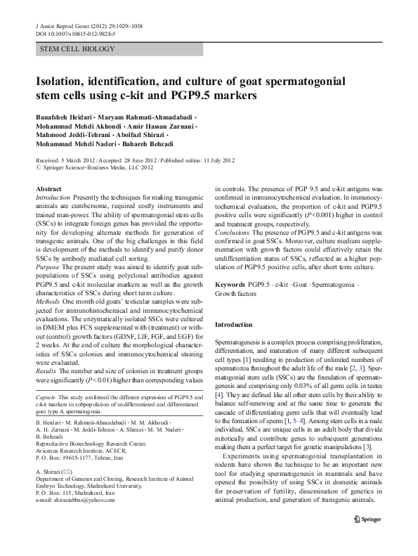 (PDF) Goat Spermatogonial Stem Cell Isolation and Culture