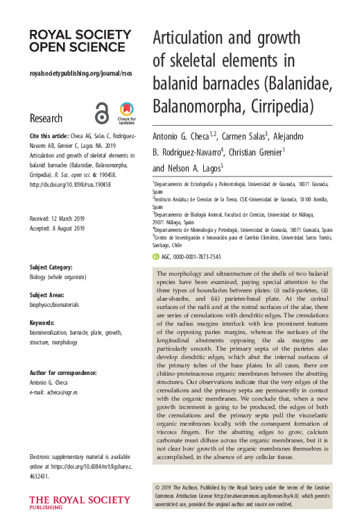(PDF) Articulation and growth of skeletal elements in balanid barnacles ...