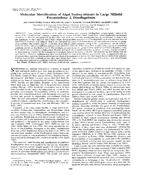 (PDF) Molecular Identification of Algal Endosymbionts in Large Miliolid ...