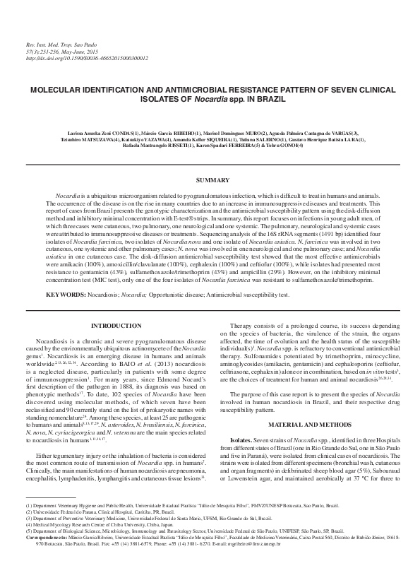 (PDF) MOLECULAR IDENTIFICATION AND ANTIMICROBIAL RESISTANCE PATTERN OF ...