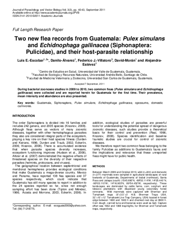 (PDF) Two new flea records from Guatemala: Pulex simulans and ...