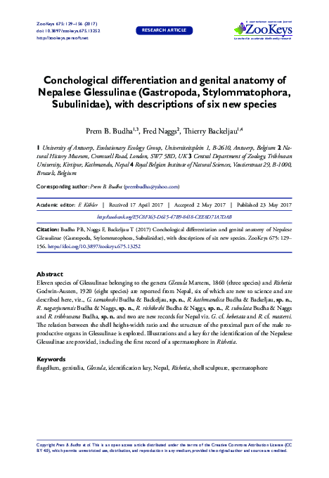 (PDF) Conchological differentiation and genital anatomy of Nepalese ...