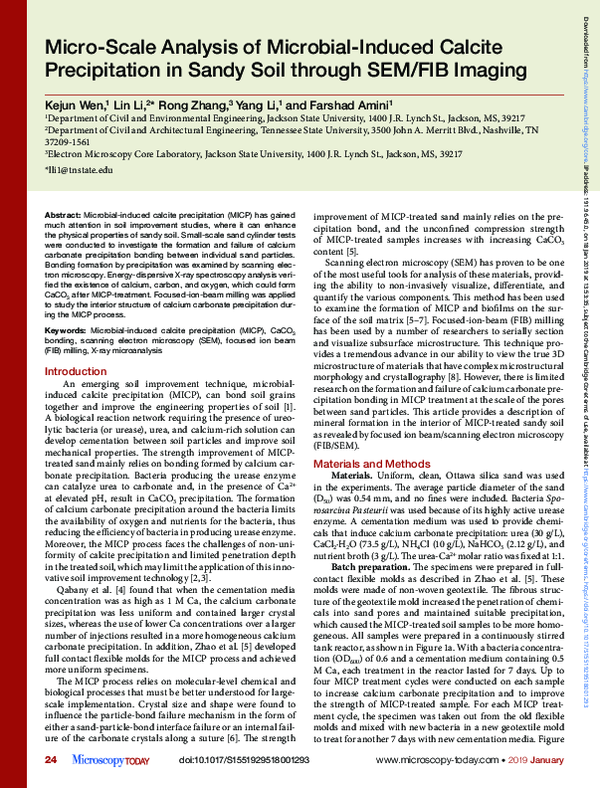 (PDF) Micro-Scale Analysis of Microbial-Induced Calcite Precipitation ...