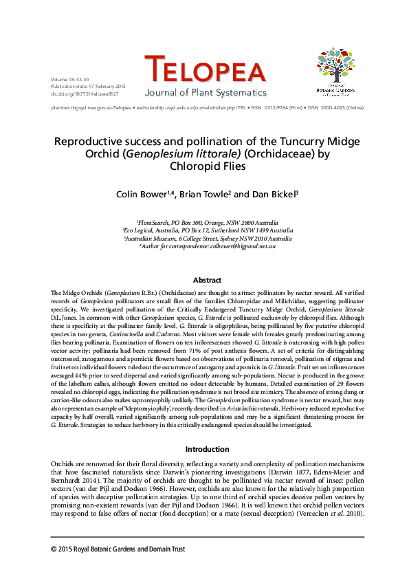 (PDF) Reproductive success and pollination of the Tuncurry Midge Orchid ...
