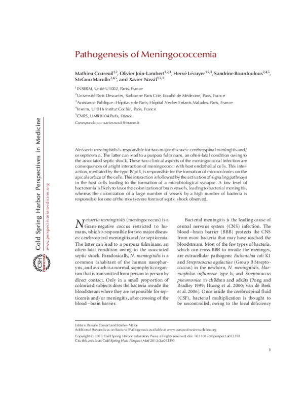 (PDF) Pathogenesis of meningococcemia