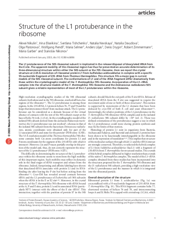 (PDF) L1 Protuberance Structure in Ribosomes