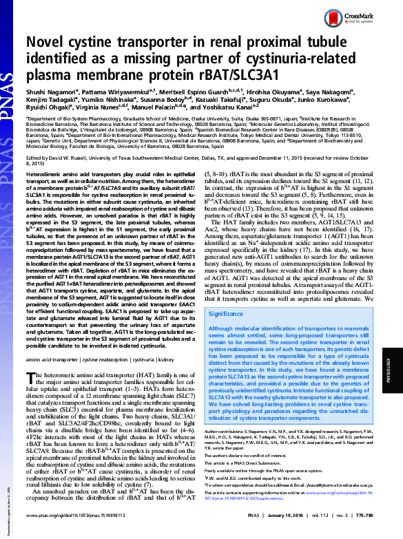 (PDF) Novel cystine transporter in renal proximal tubule identified as ...
