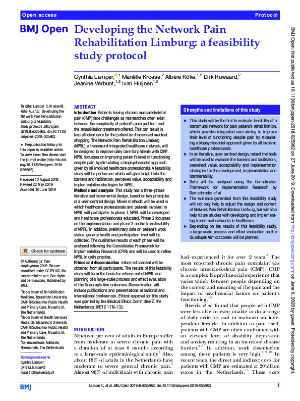(PDF) Developing the Network Pain Rehabilitation Limburg: a feasibility ...