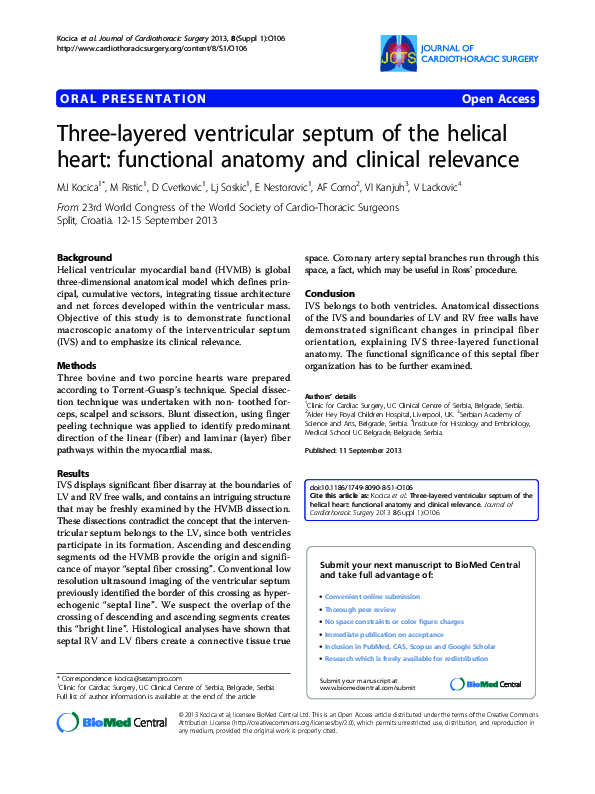 (PDF) Three-layered ventricular septum of the helical heart: functional ...
