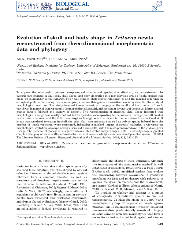 (PDF) Evolution of skull and body shape in Triturus newts reconstructed ...