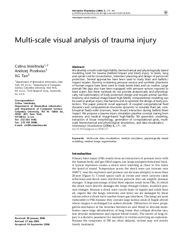 (PDF) Multi-scale visual analysis of trauma injury