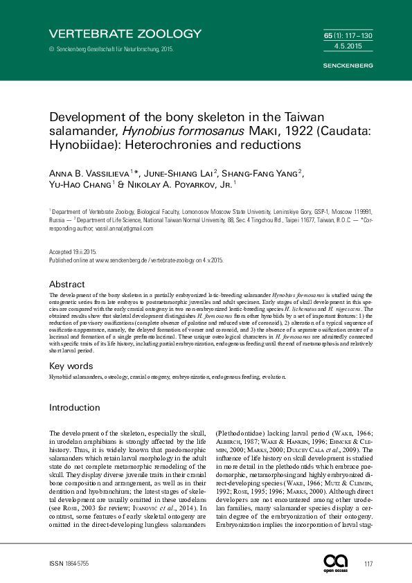 (PDF) Development of the bony skeleton in the Taiwan salamander ...