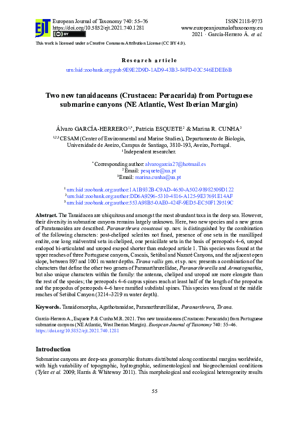 (PDF) Two new tanaidaceans (Crustacea: Peracarida) from Portuguese ...