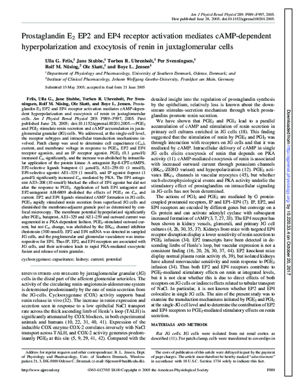 (PDF) Prostaglandin E2 EP2 and EP4 receptor activation mediates cAMP ...