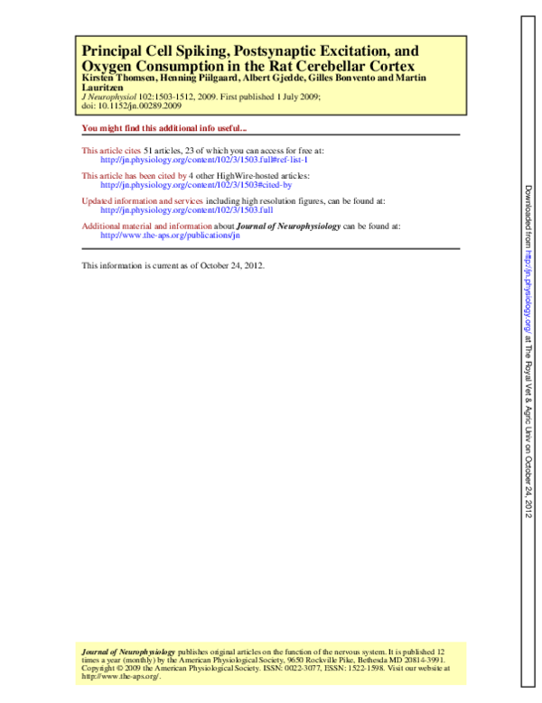 (PDF) J Neurophysiol Oxygen Consumption in the Rat Cerebellar Cortex
