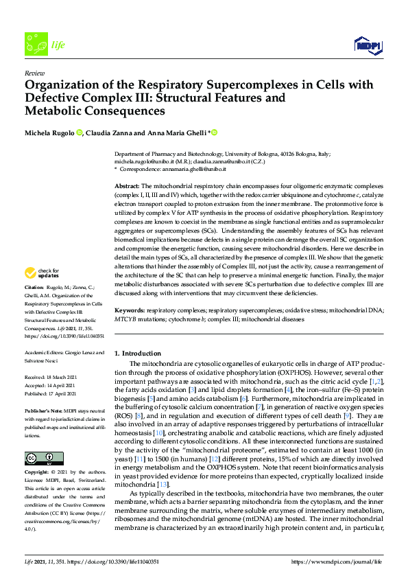 (PDF) Organization of the Respiratory Supercomplexes in Cells with Defective Complex III ...