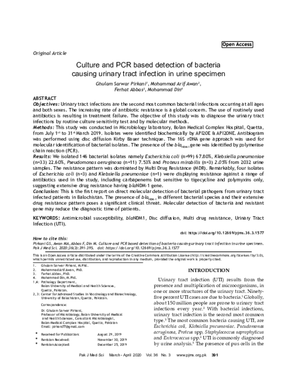 (PDF) Culture and PCR based detection of bacteria causing urinary tract ...