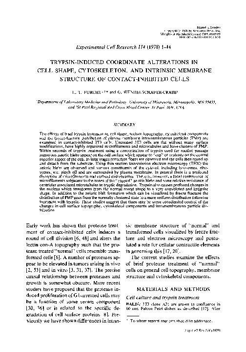 (PDF) Trypsin-induced coordinate alterations in cell shape ...