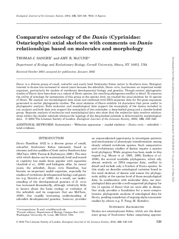 (PDF) Comparative osteology of the Danio (Cyprinidae: Ostariophysi ...