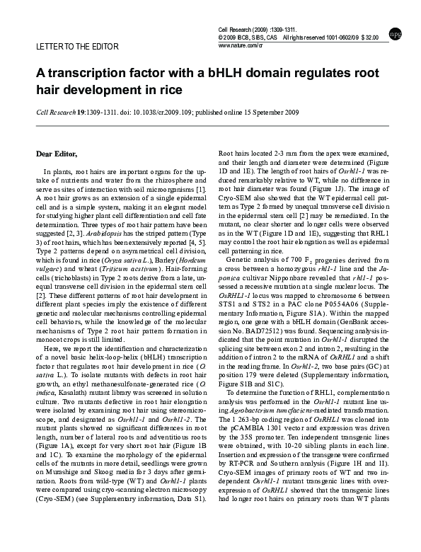 (PDF) A transcription factor with a bHLH domain regulates root hair ...
