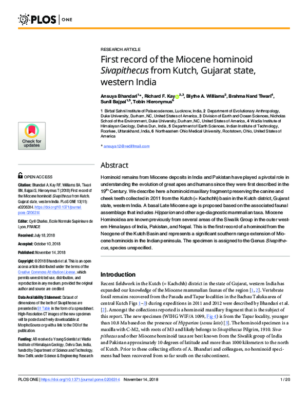 (PDF) First record of the Miocene hominoid Sivapithecus from Kutch ...