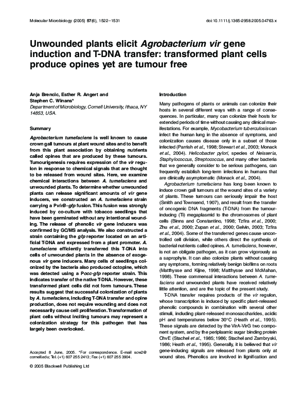 (PDF) Unwounded plants elicit Agrobacterium vir gene induction and T ...
