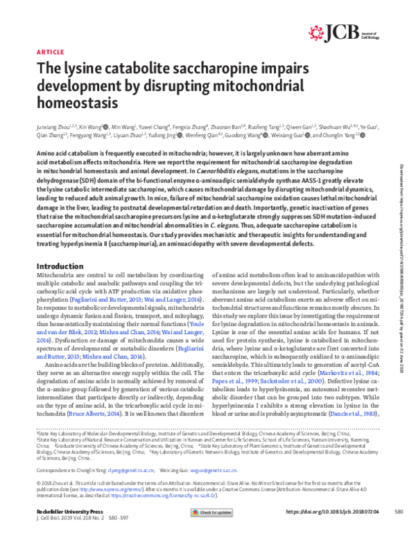 (PDF) The lysine catabolite saccharopine impairs development by ...