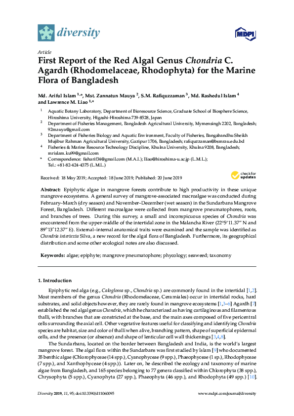 (PDF) First Report of the Red Algal Genus Chondria C. Agardh ...