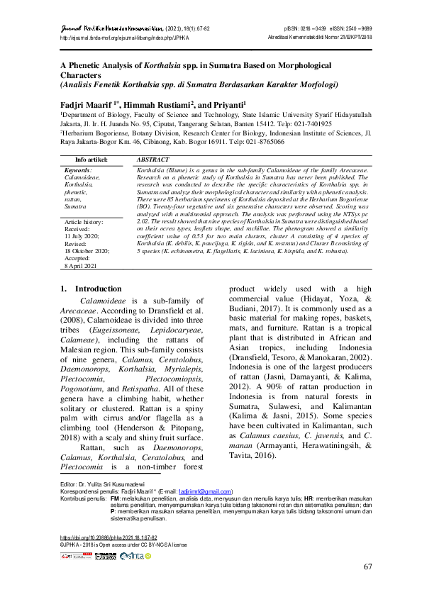 (PDF) A Phenetic Analysis of Korthalsia spp. in Sumatra Based on ...