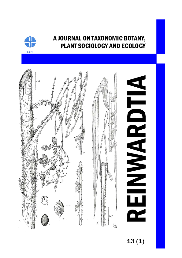 (PDF) Two New Species of Daemonorops from Sulawesi