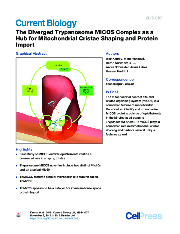 (PDF) The Diverged Trypanosome MICOS Complex as a Hub for Mitochondrial ...