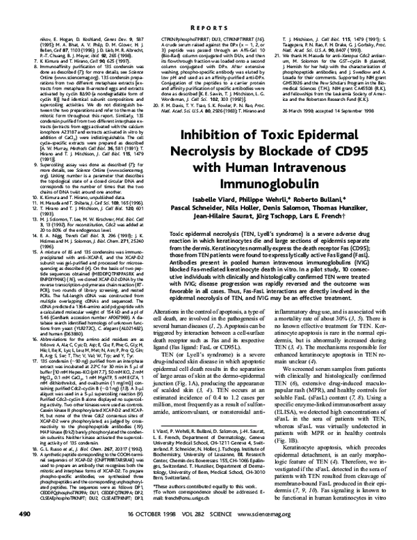 (PDF) Inhibition of toxic epidermal necrolysis by blockade of CD95 with human intravenous ...