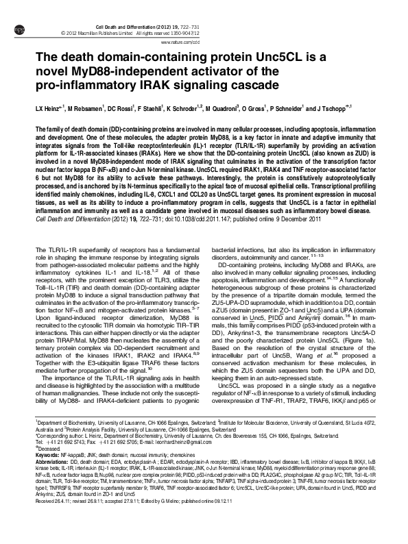 (PDF) The death domain-containing protein Unc5CL is a novel MyD88 ...