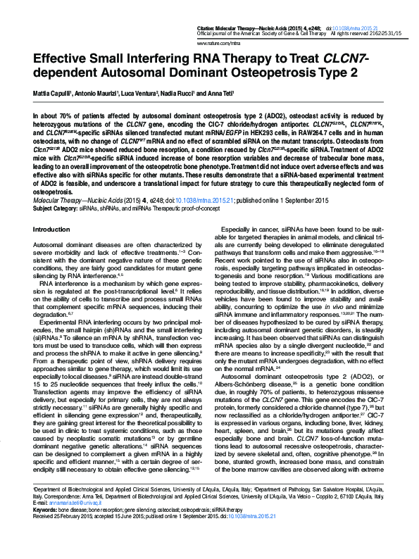 (PDF) siRNA Therapy for CLCN7-dependent Osteopetrosis