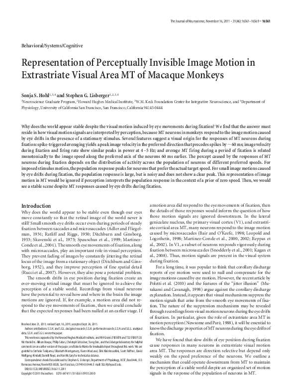 (PDF) Representation of Perceptually Invisible Image Motion in ...