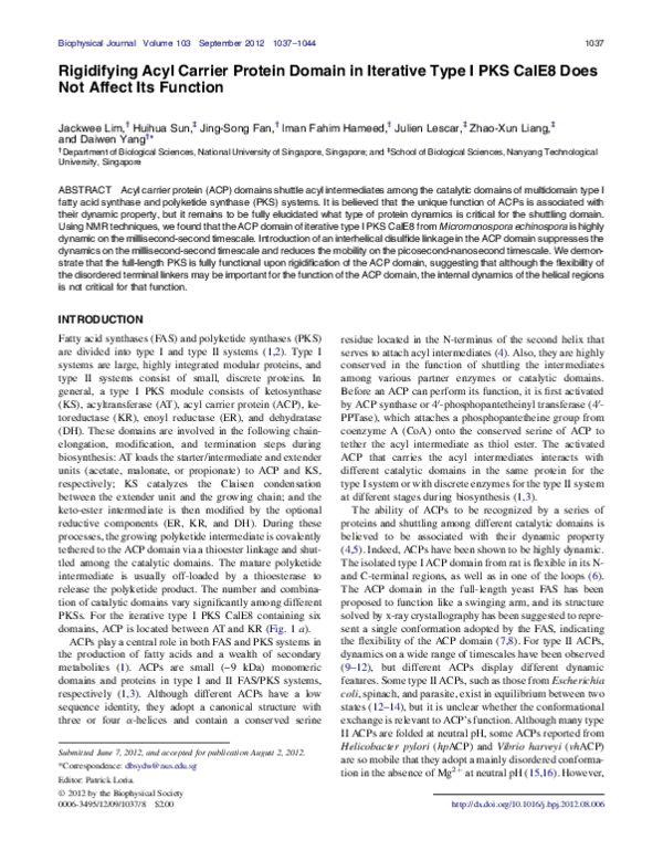 (PDF) Rigidifying acyl carrier protein domain in iterative type i PKS ...
