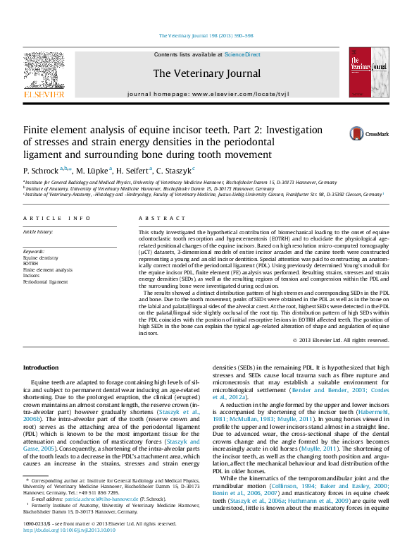 (PDF) Finite element analysis of equine incisor teeth. Part 2: Investigation of stresses and ...