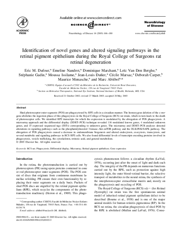(PDF) c-mer RCS signaling pathways