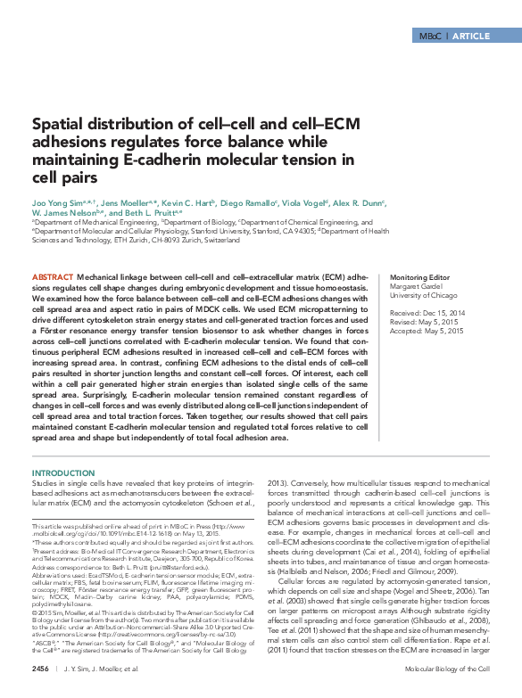 (PDF) Spatial Distribution of Cell-Cell and Cell-ECM Adhesions ...