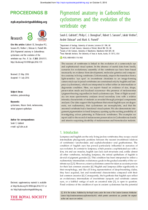 (PDF) Pigmented anatomy in Carboniferous cyclostomes and the evolution ...