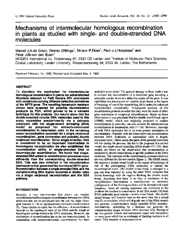 (PDF) Mechanisms of intermolecular homologous recombination in plants ...